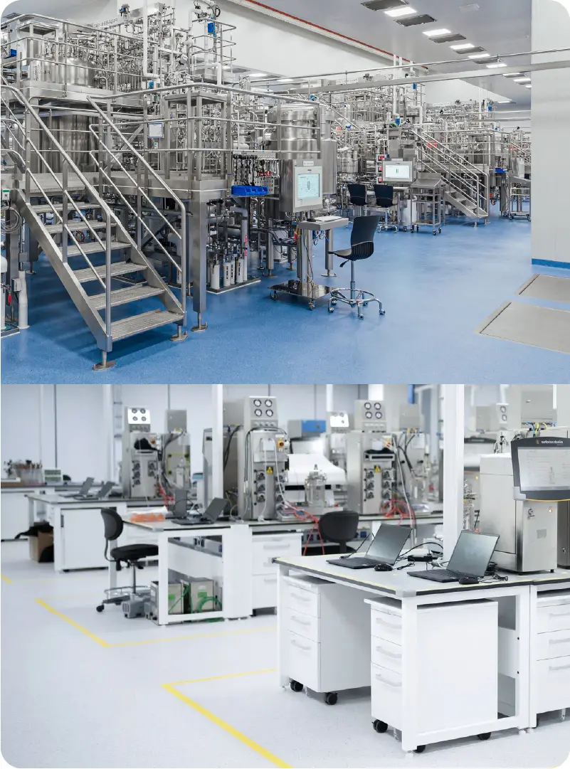 Master Cell Bank, 첫 단추를 끼우는 책임감